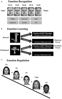 Frontiers | Neuropsychological Subgroups of Emotion Processing in ...