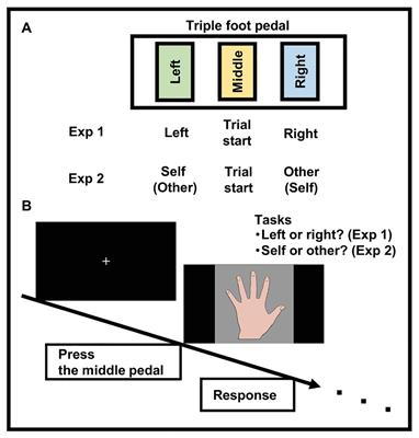 Frontiers | Visual Hand Recognition in Hand Laterality and Self-Other ...