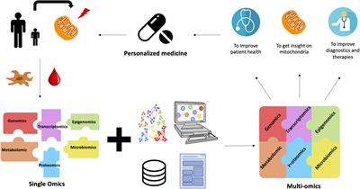 Frontiers | Multi-Omics Approaches to Improve Mitochondrial Disease ...