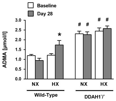 Frontiers | Upregulation of DDAH2 Limits Pulmonary Hypertension and ...