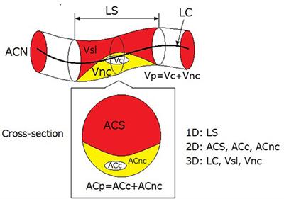 Frontiers | Extraction of Coronary Atherosclerotic Plaques From ...