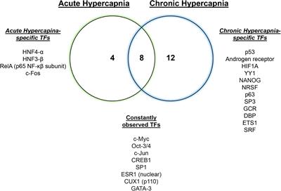 Frontiers | Hypercapnia Regulates Gene Expression and Tissue Function