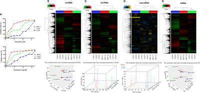 Frontiers | Comprehensive Transcriptomic Analysis Reveals Dysregulated ...