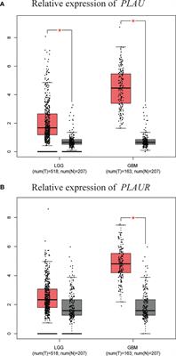 Frontiers | Prognostic Significance and Gene Co-Expression Network of ...