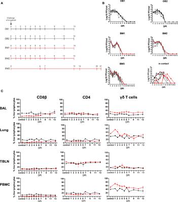 Frontiers | Magnitude and Kinetics of T Cell and Antibody Responses ...