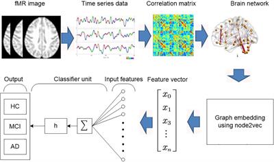 Frontiers | Diagnosis of Alzheimer’s Disease Using Brain Network
