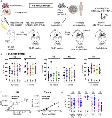 Frontiers | Testing Cancer Immunotherapy in a Human Immune System Mouse ...