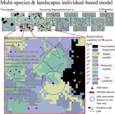 Frontiers | Habitat Fragmentation Increases Overall Richness, but Not ...