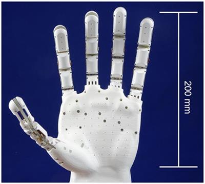 Frontiers | A Soft Five-Fingered Hand Actuated by Shape Memory Alloy ...
