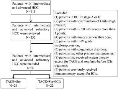 Frontiers | Efficacy and Safety of TACE Combined With Sorafenib Plus ...