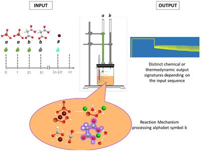 Frontiers | Native Chemical Computation. A Generic Application of ...