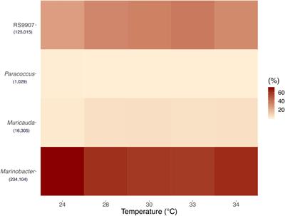 Frontiers | Temperature Responses of Heterotrophic Bacteria in Co ...