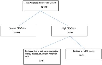 Frontiers | Elevated Creatinine Kinase in Peripheral Neuropathy Is ...