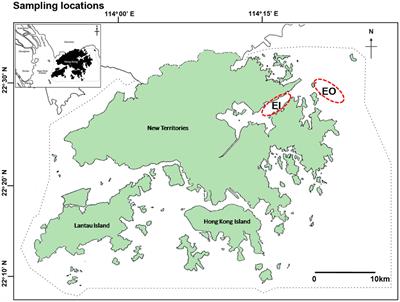 Frontiers | Improvements of Population Fitness and Trophic Status of a ...