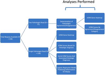 Frontiers | Use of the Tissue Common Rejection Module Score in Kidney ...