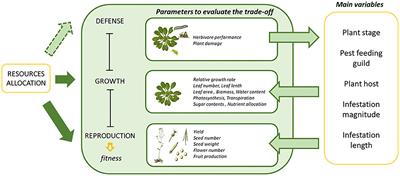 Frontiers | The Price of the Induced Defense Against Pests: A Meta-Analysis