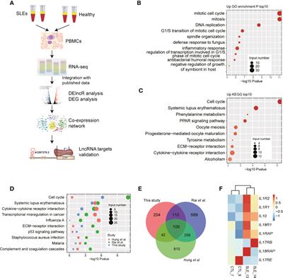 Frontiers | Integrated Transcriptome Profiling Revealed That Elevated ...