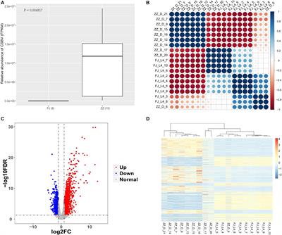 Frontiers | Transcriptome Profiling Reveals a Novel Mechanism of ...