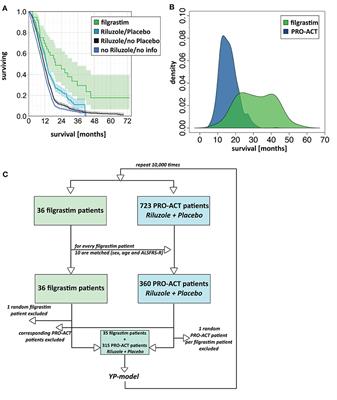 Frontiers | Modeling and Bioinformatics Identify Responders to G-CSF in ...