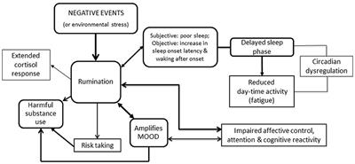 Frontiers | Brief Research Report: A Pilot Study of Cognitive ...