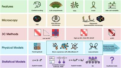Frontiers | Predicting Genome Architecture: Challenges and Solutions