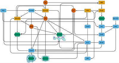Frontiers | Screening for Combination Cancer Therapies With Dynamic ...