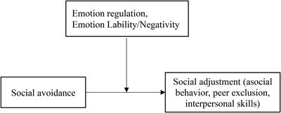Frontiers | Social Avoidance and Social Adjustment: The Moderating Role ...