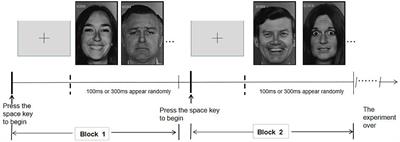 Frontiers | Differences in Facial Expression Recognition Between ...