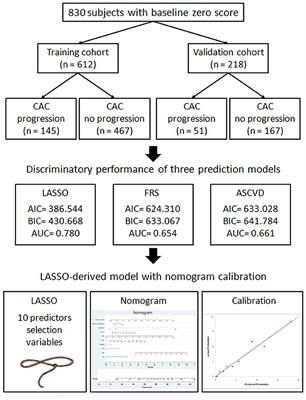 Frontiers | A LASSO-Derived Risk Model for Subclinical CAC Progression ...