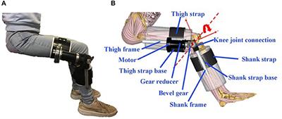 Control Diagram Knee Exoskeleton Knee Joint Exoskeleton Stru