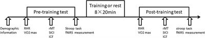 Frontiers | Short-Term High-Intensity Interval Exercise Promotes Motor ...