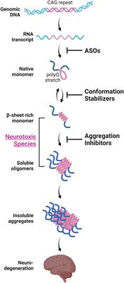 Frontiers | Protein Aggregation Inhibitors as Disease-Modifying ...