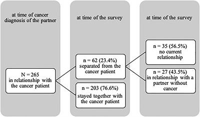 Frontiers | Cancer and Relationship Dissolution: Perspective of ...