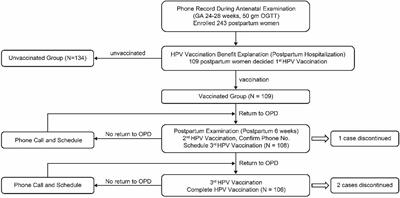 Frontiers | Postpartum HPV Vaccination Rate and Differences in ...