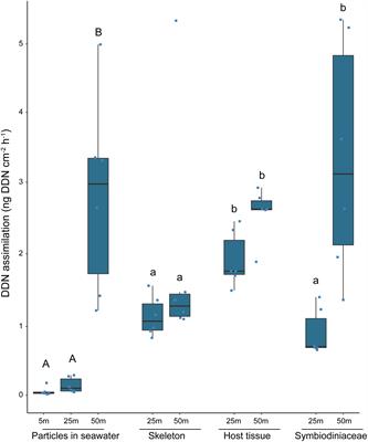 Frontiers | Unravelling the Importance of Diazotrophy in Corals ...