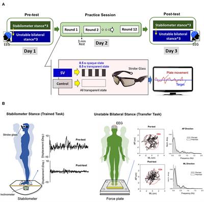 Frontiers | Reliance on Visual Input for Balance Skill Transfer in ...