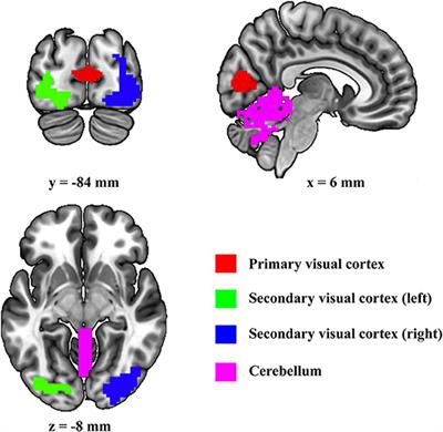 Frontiers | Enhanced Information Flow From Cerebellum to Secondary ...