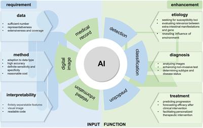 Frontiers | Artificial Intelligence Enhances Studies on Inflammatory ...