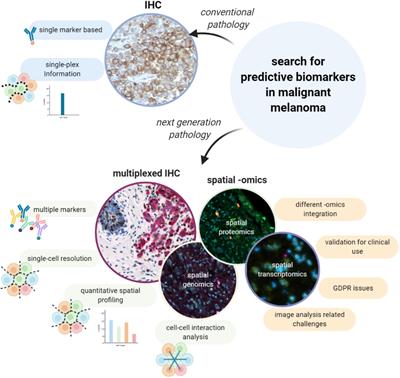Frontiers | Multiplexed Immunohistochemistry and Digital Pathology as ...