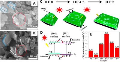 Frontiers | Recent Advances in TiO2-Based Heterojunctions for ...
