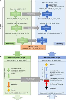 Frontiers | 3D Segmentation of Perivascular Spaces on T1-Weighted 3 ...
