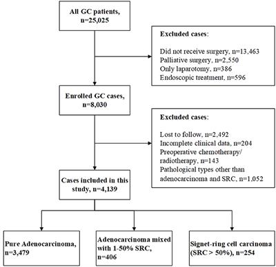 Frontiers | Prognostic Significance of Signet-Ring Cell Components in ...