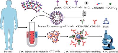 Frontiers | Distribution and Clinical Analysis of EpCAM+/Vimentin+ ...