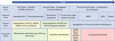 Frontiers | Why Haven’t We Found an Effective Treatment for COVID-19?