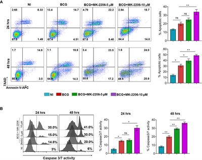 Frontiers | Co-Administration of Anticancer Candidate MK-2206 Enhances ...