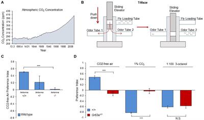 Frontiers | Flies Avoid Current Atmospheric CO2 Concentrations