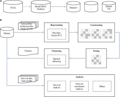 Frontiers | Multi-Omics Data Fusion via a Joint Kernel Learning Model ...