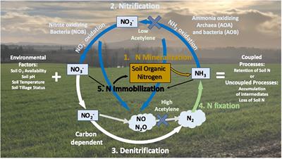 Frontiers | Implications of the Thermodynamic Response of Soil ...