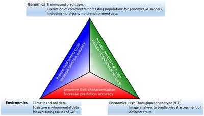 Frontiers | The Modern Plant Breeding Triangle: Optimizing the Use of ...
