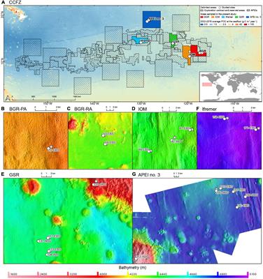 Frontiers | Diversity of Deep-Sea Scale-Worms (Annelida, Polynoidae) in ...